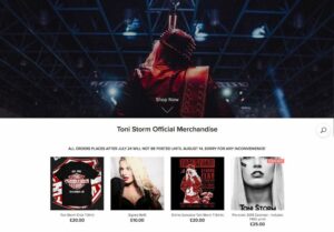 Ecwid Review — Pros and Cons, Pricing and Alternatives