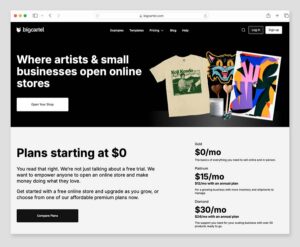 Big Cartel Review — The Key Pros and Cons