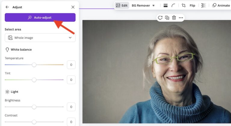 Canva Review — The Key Pros and Cons to Consider