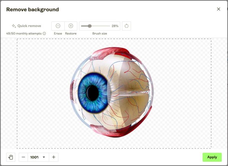 Printify Review (2025) — All The Key Pros and Cons